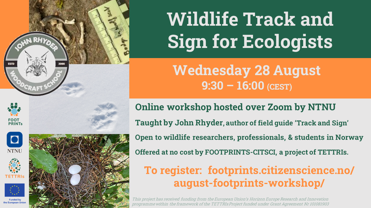 August Footprints Workshop - Footprints